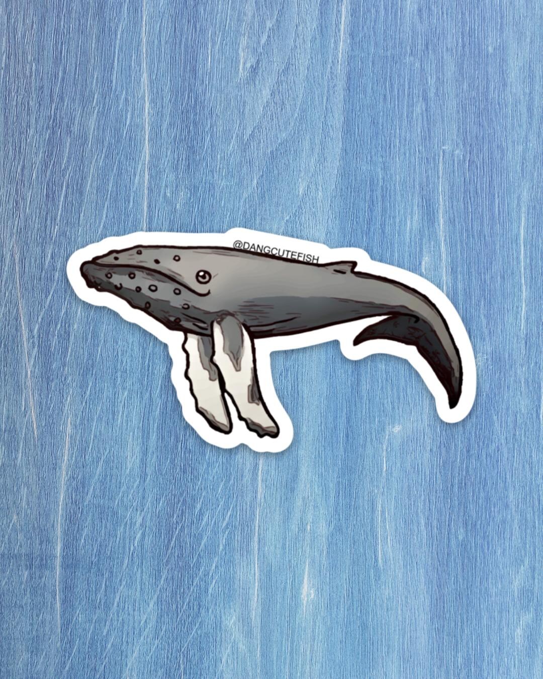 Humpback Whale Sticker, Cetacean Sticker, Marine Mammal Sticker - Etsy