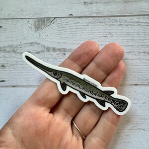 Longnose Gar Sticker, Sportsman Sticker, Longnose Gar Gift - Etsy