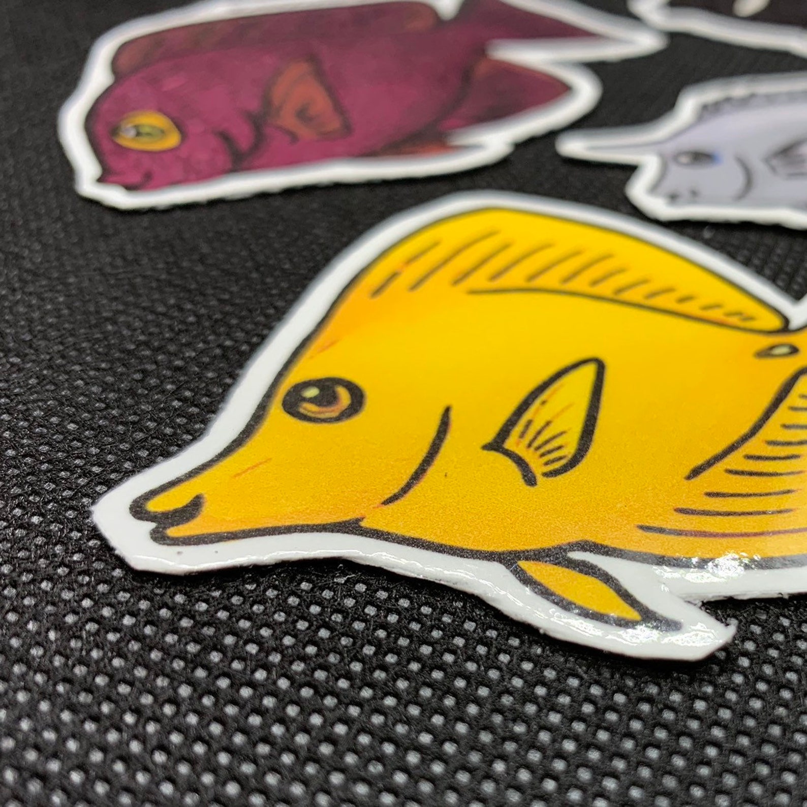 Tang / Surgeonfish Magnet Set! Set of Five Cute Tangs: Yellow Tang ...