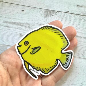 Discus Sticker, Cichlid, Fish Sticker, Freshwater, Planted Aquarium ...