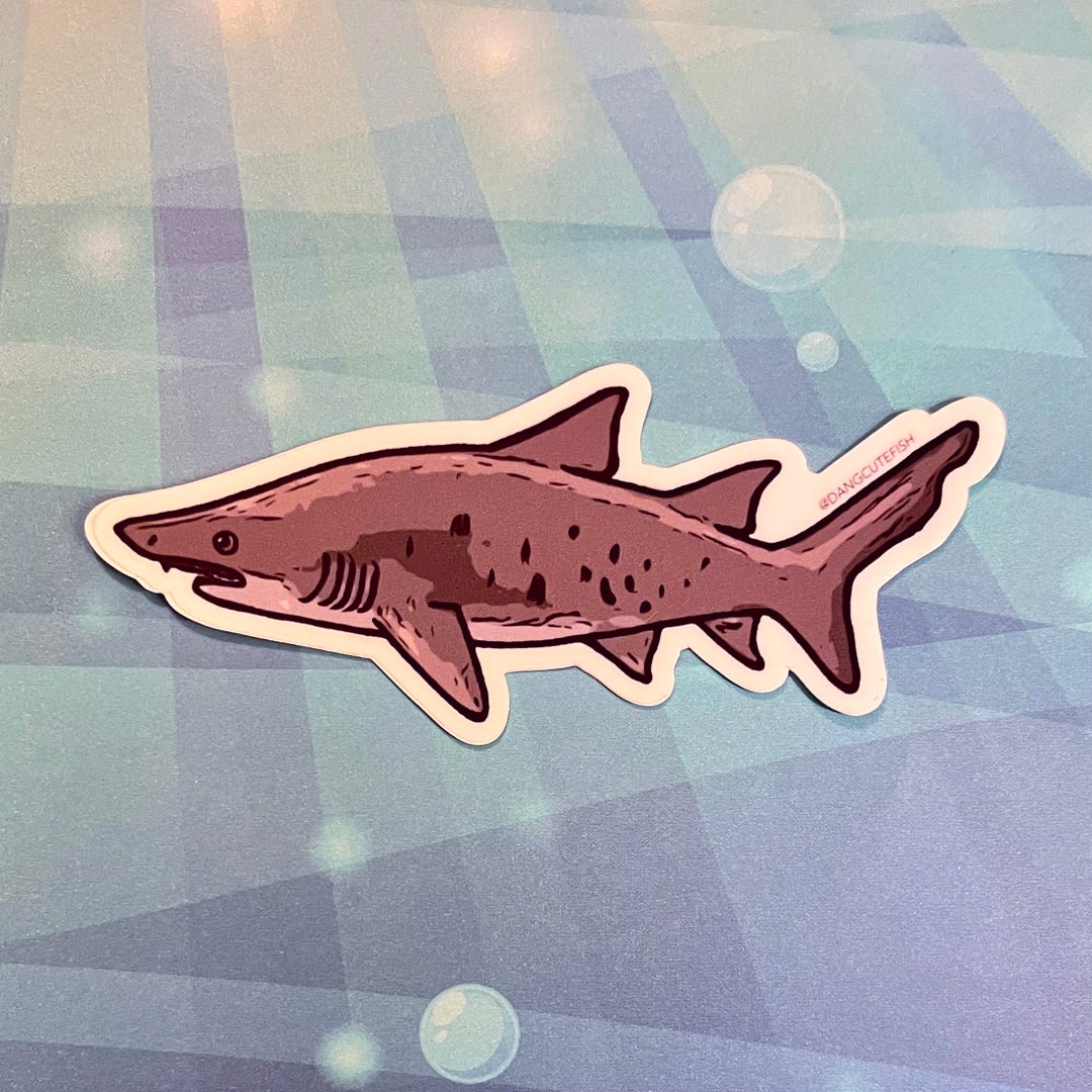 Sand Tiger Shark Sticker - Elasmobranch, Shark Gift, Dang Cute Fish - Etsy