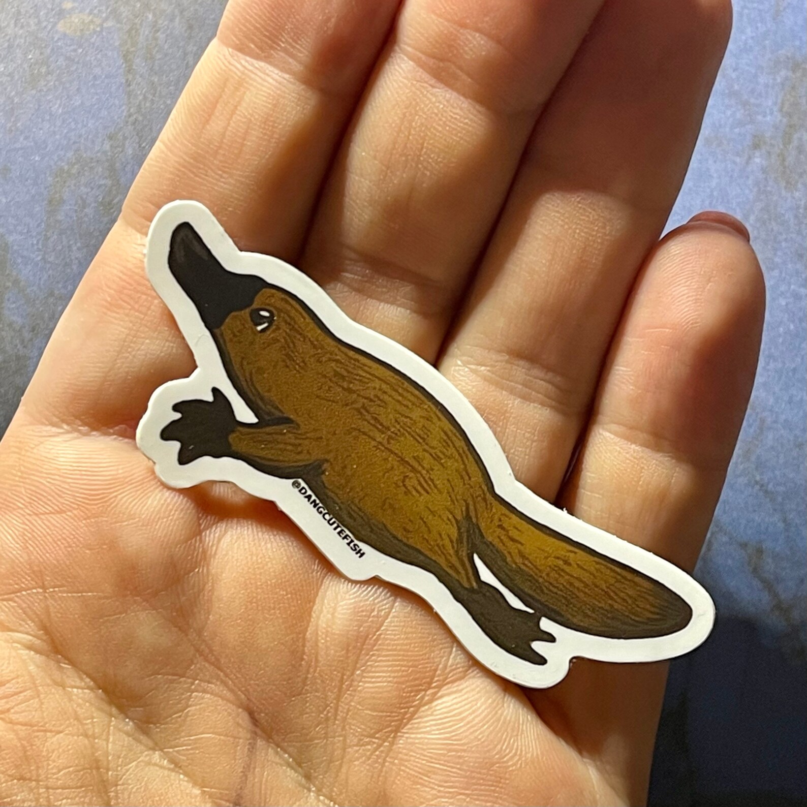Matte Coated Vinyl Stickers 1 Platypus Sticker Platypus - Etsy
