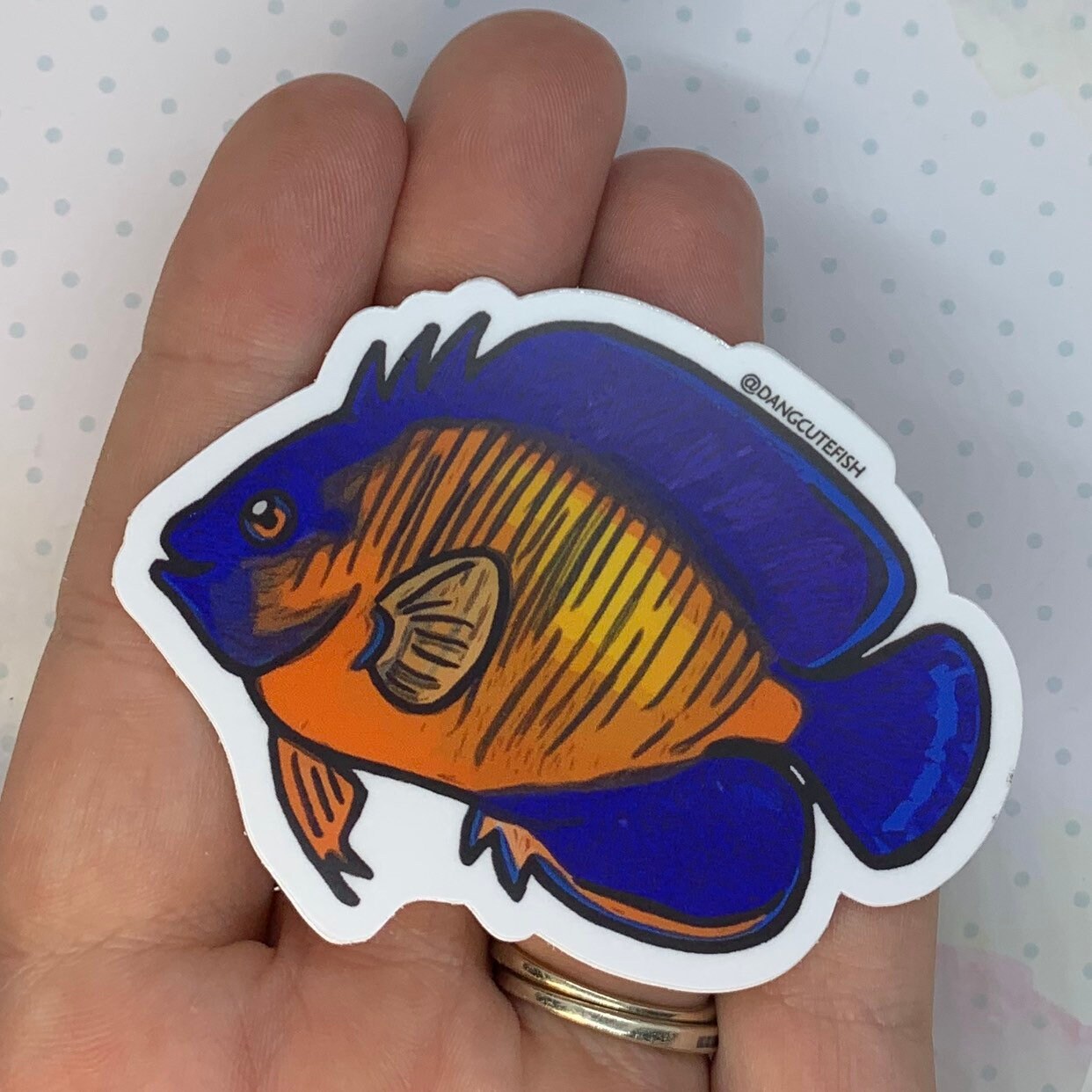 Matte Coated Vinyl Sticker Coral Beauty - Etsy