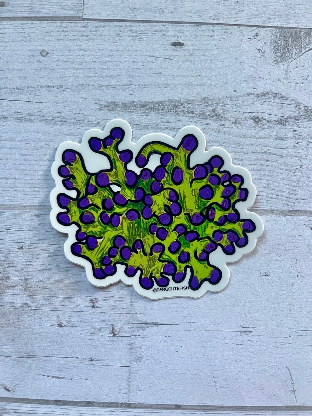 Matte Vinyl Frogspawn Coral Sticker (1) - Aquarist Gift, Aquarist ...