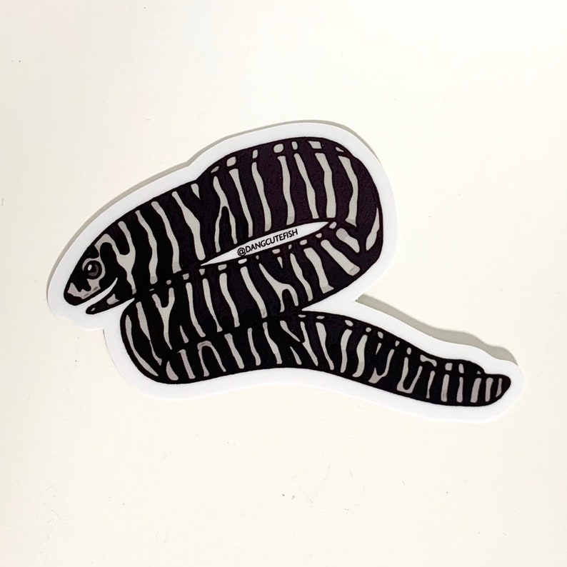 Matte Coated Vinyl Stickers 1 Zebra Moray Eel Great Gift | Etsy