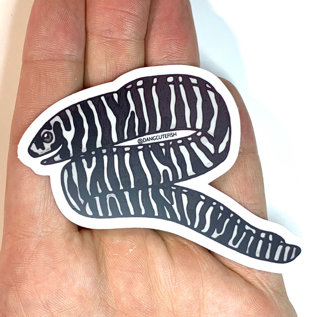 Matte Coated Vinyl Stickers (1) - Zebra Moray Eel Great Gift for an ...