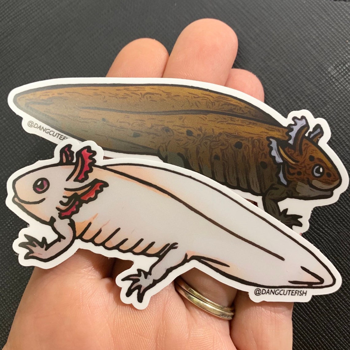 Matte Coated Vinyl Sticker Set Two Axolotls - Etsy