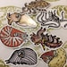 Magnet Set 7 Cephalopods, Flamboyant Cuttlefish, Pajama Squid, Nautilus ...
