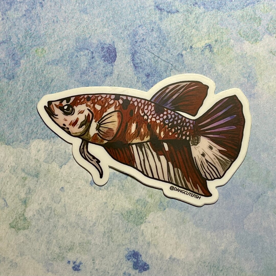 Betta Sticker, Betta Fish Sticker, Betta Fish Gift, Aquarium Sticker - Etsy