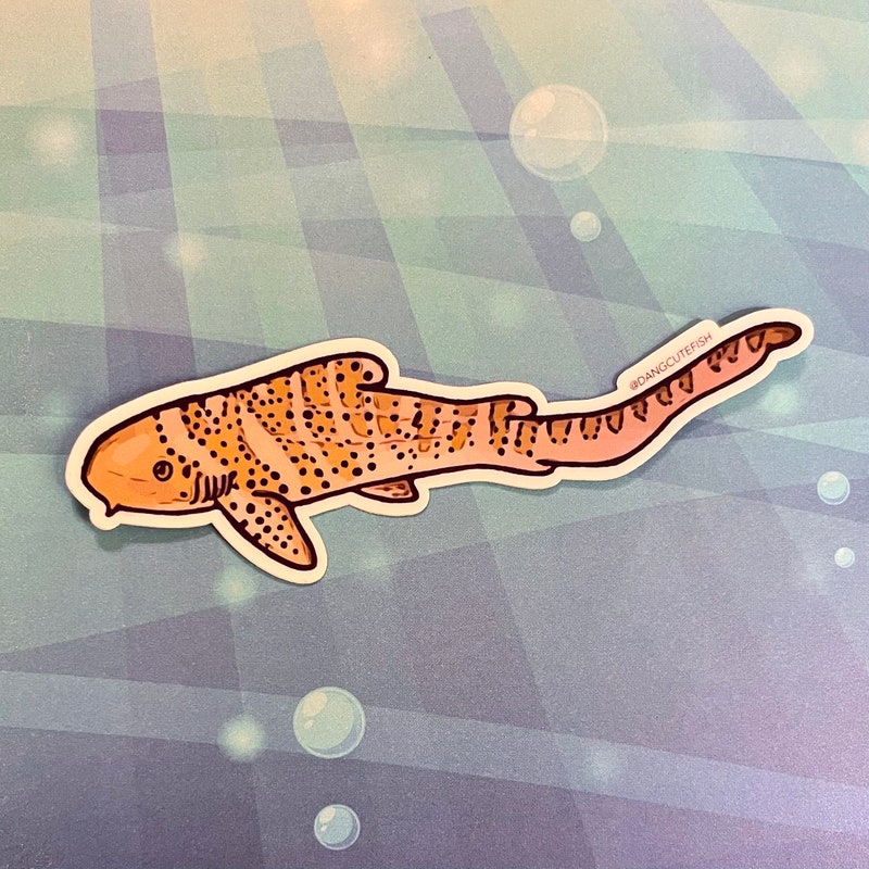 Shark Gift - 60+ Gift Ideas for 2025