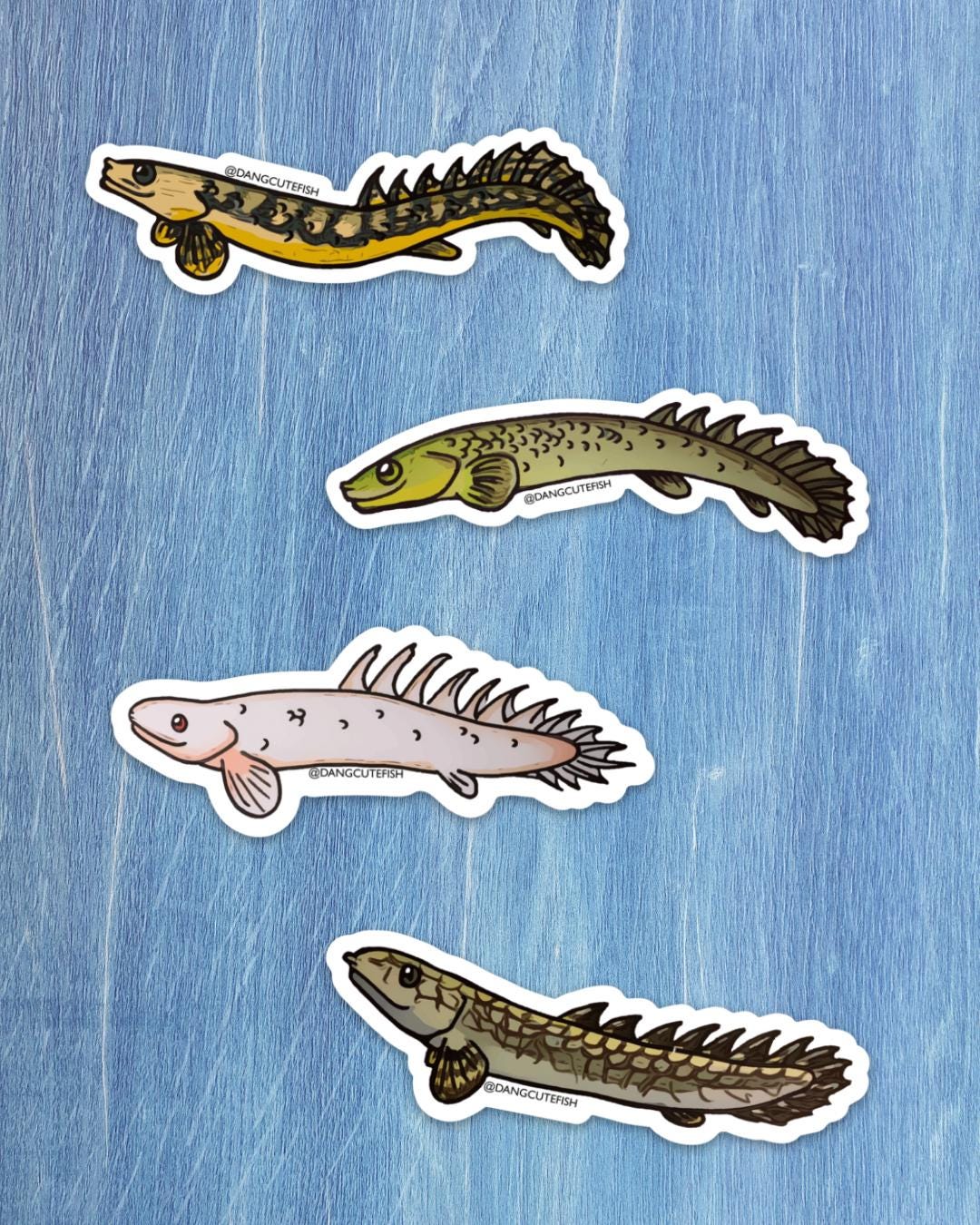 Four Bichirs Sticker Set, Great for Freshwater Aquarists Ans Fish ...