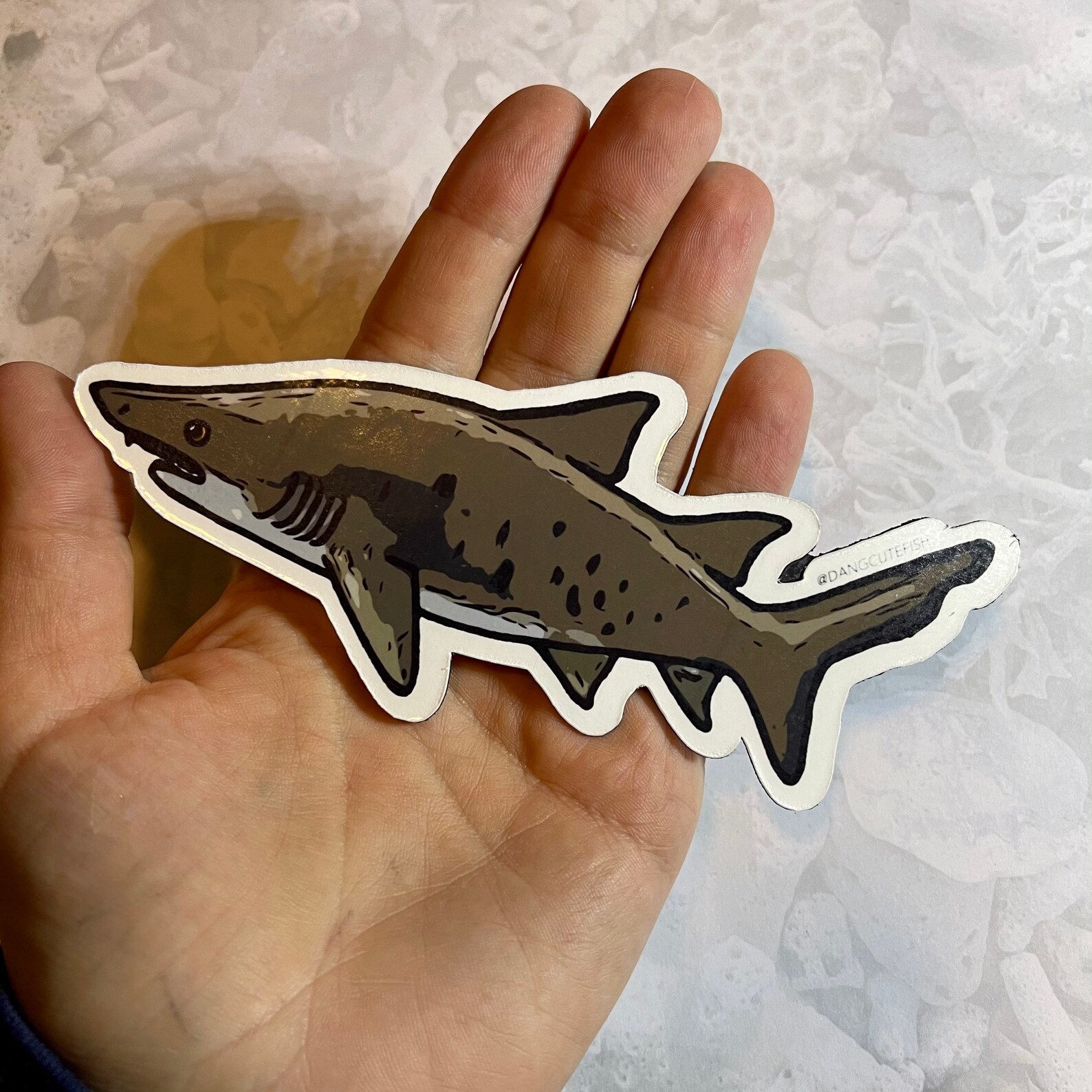 6 Inch Magnet One Piece Shark Magnet You Choose the - Etsy