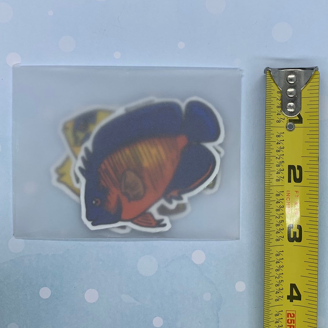 Angelfish Magnet Set! Set of Three Cute Fish: Queen Angelfish, Coral ...