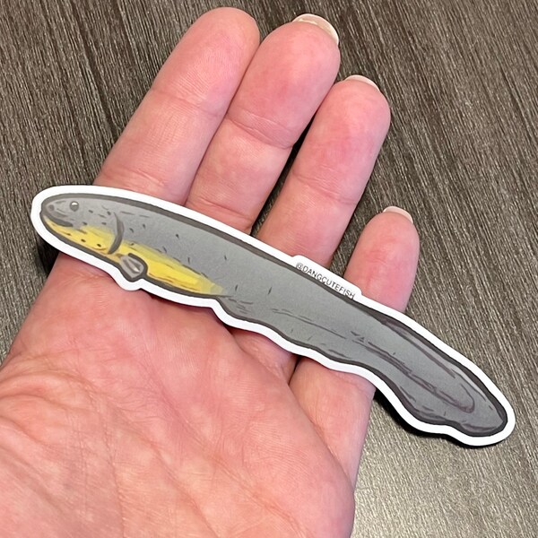 Electric Eel - Etsy
