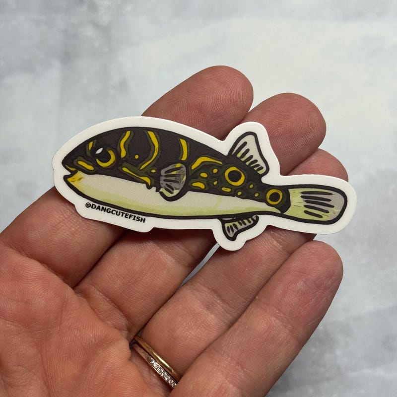 DangCuteFish - Etsy