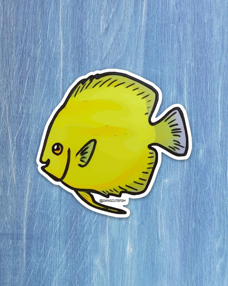Discus Sticker, Cichlid, Fish Sticker, Freshwater, Planted Aquarium ...