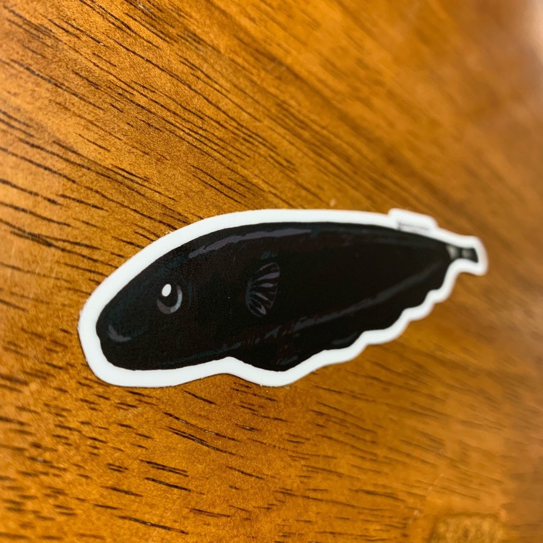 Matte Coated Vinyl Sticker - Ghost Knifefish Sticker, Knifefish Gift ...