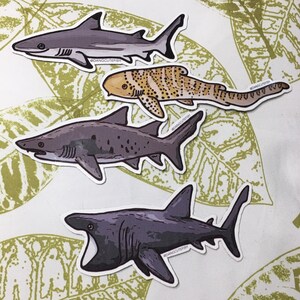 Magnet Set - Big Sharks Set #1. Sand Tiger, Basking Shark, Blacktip ...