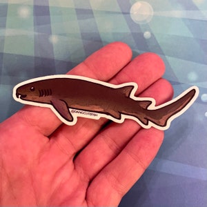 Nurse Shark Sticker - Elasmobranch, Shark Gift, Dang Cute Fish - Etsy