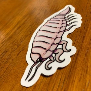 Matte Coated Vinyl Sticker - Deep Sea Isopod! Great for Marine ...