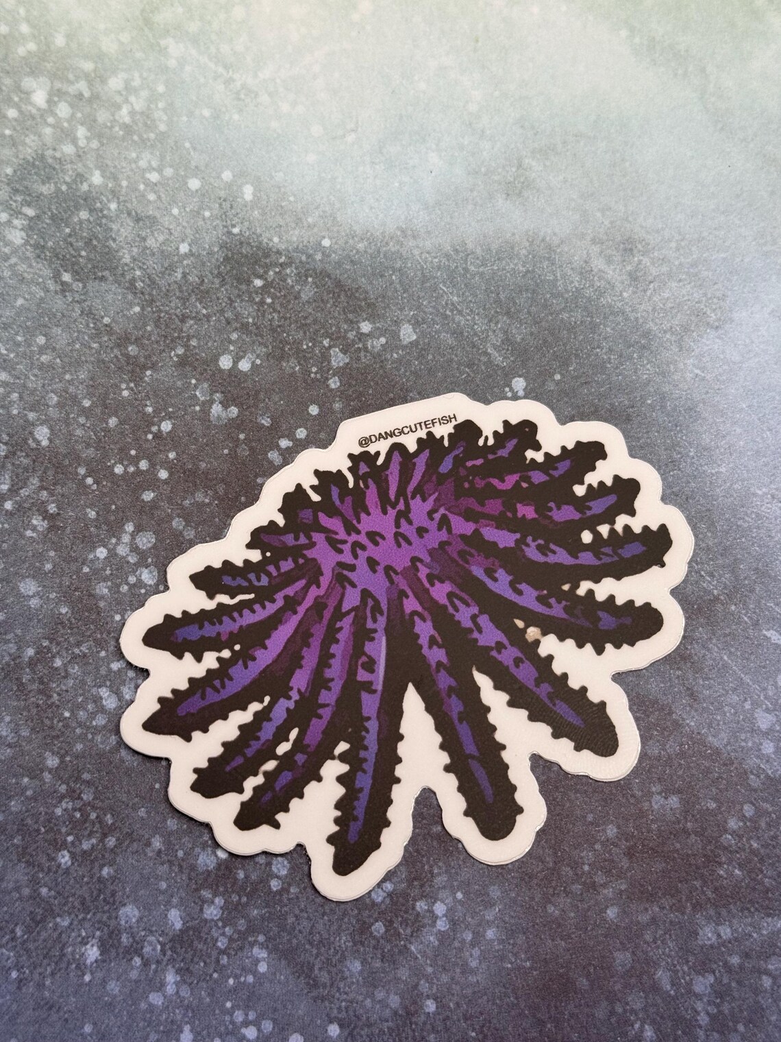 Crown of Thorns Sea Star Sticker, Sea Star Sticker, Starfish Sticker - Etsy