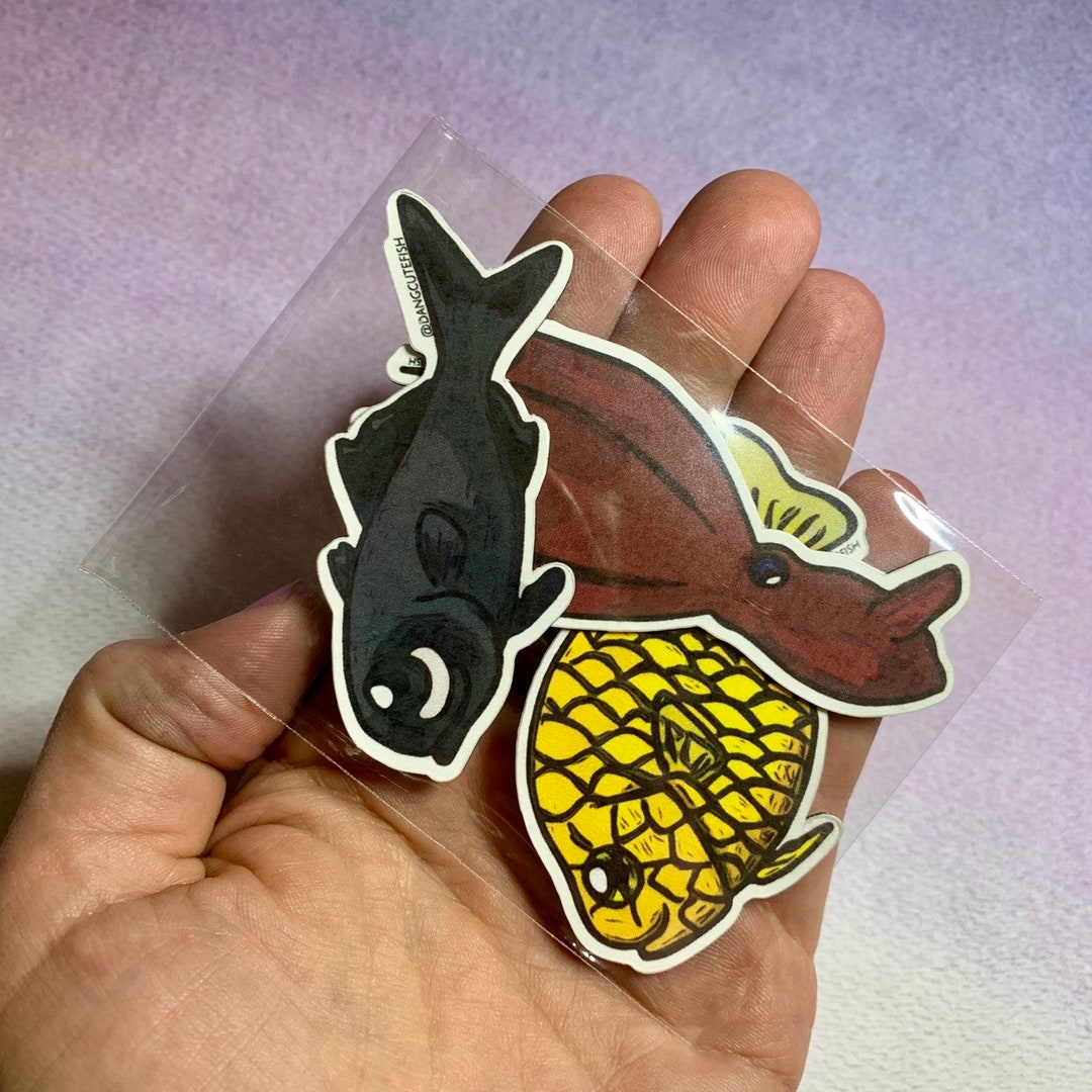 Deep Sea Creature Magnet Set (3) - Vampire Squid, Pinecone Fish ...