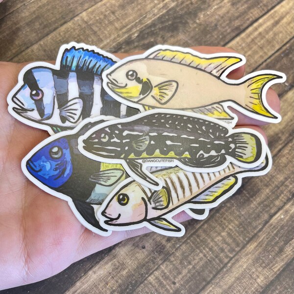 Red Cherry Shrimp Sticker Shrimp Sticker Aquarium Gift Shirt Hobby ...