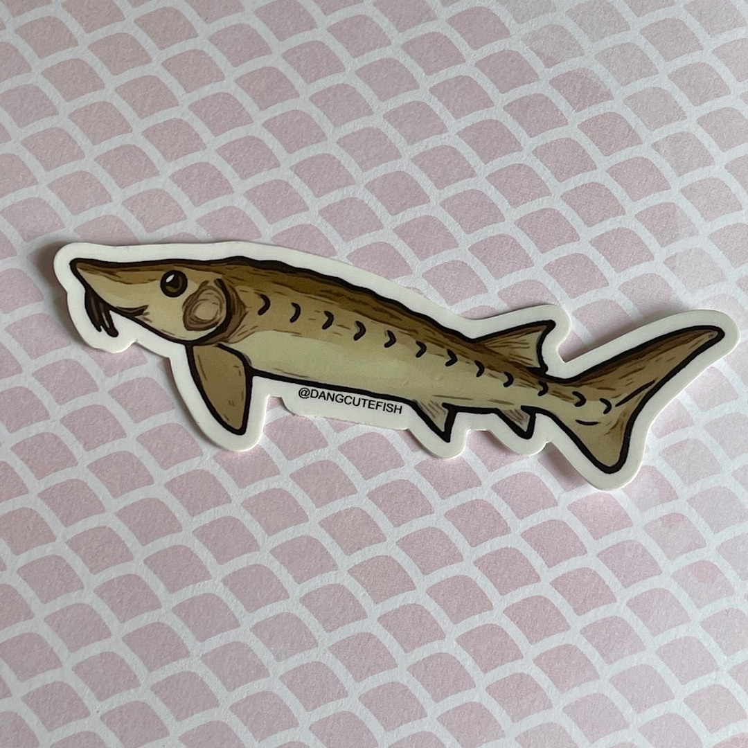 Lake Sturgeon Sticker (1) - Matt Vinyl Sticker - Etsy