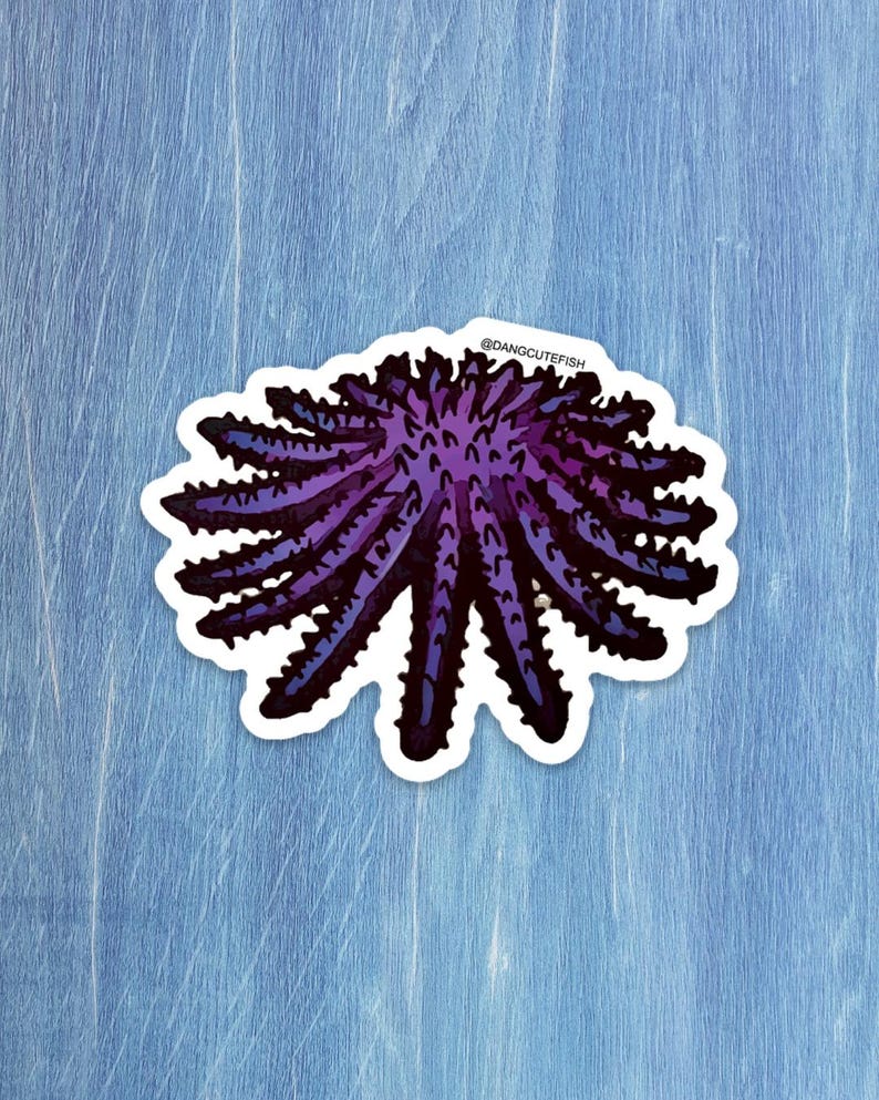 Crown of Thorns Sea Star Sticker, Sea Star Sticker, Starfish Sticker - Etsy