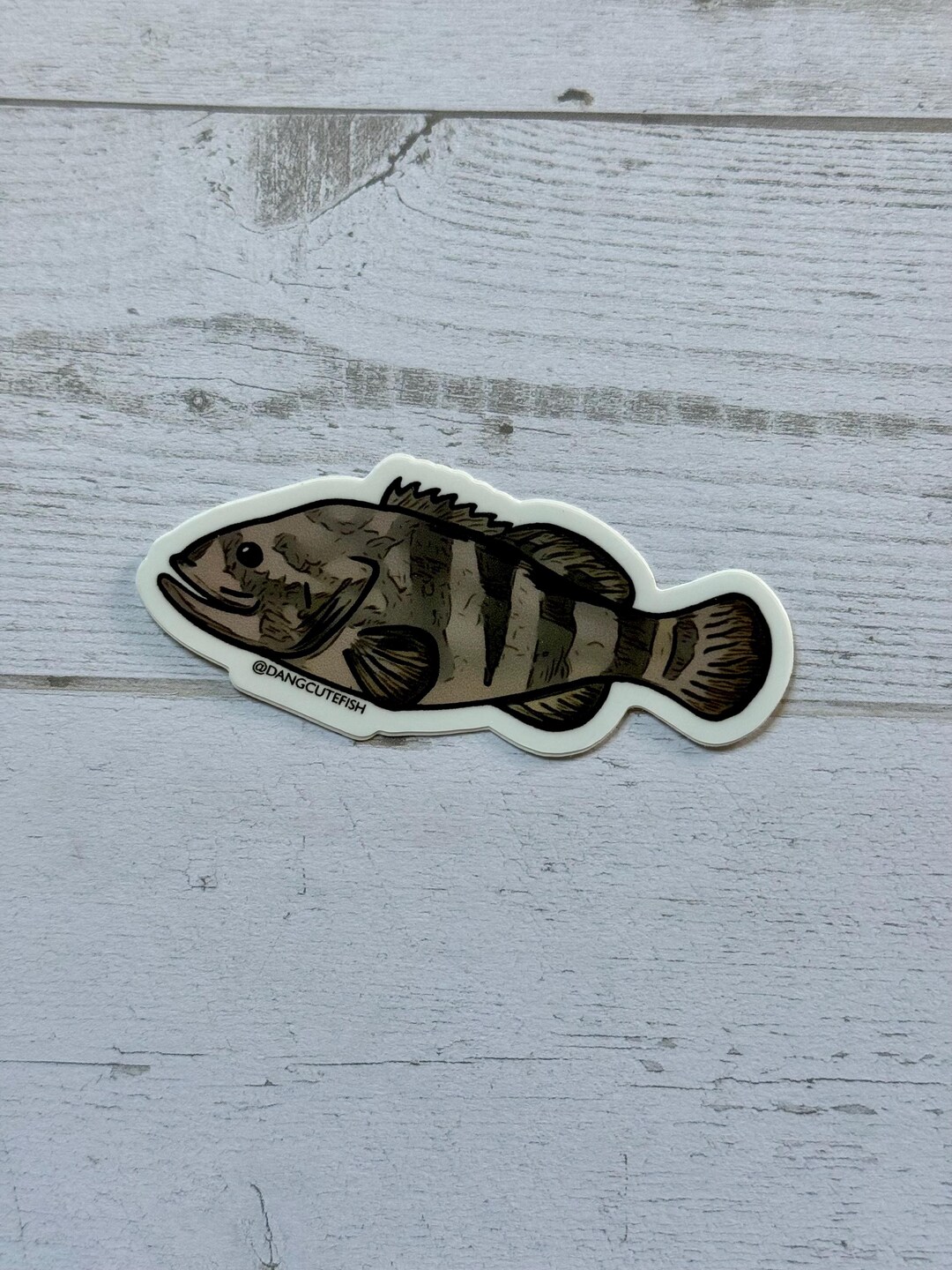 Goliath Grouper Sticker - Grouper Gift, Aquarium, Aquarist - Etsy