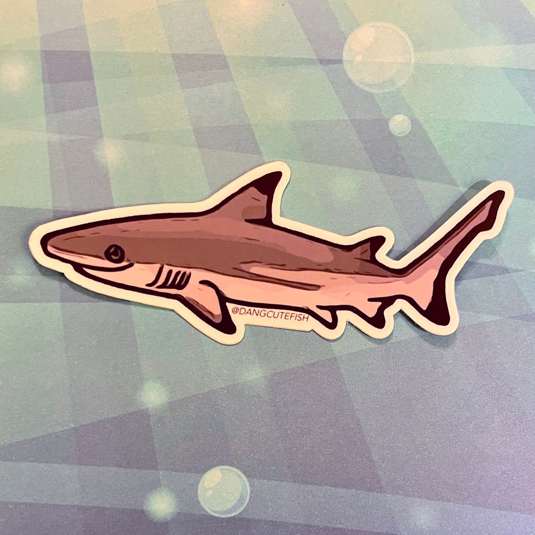 Blacktip Reef Shark Sticker Elasmobranch, Shark Gift, Dang Cute Fish - Etsy