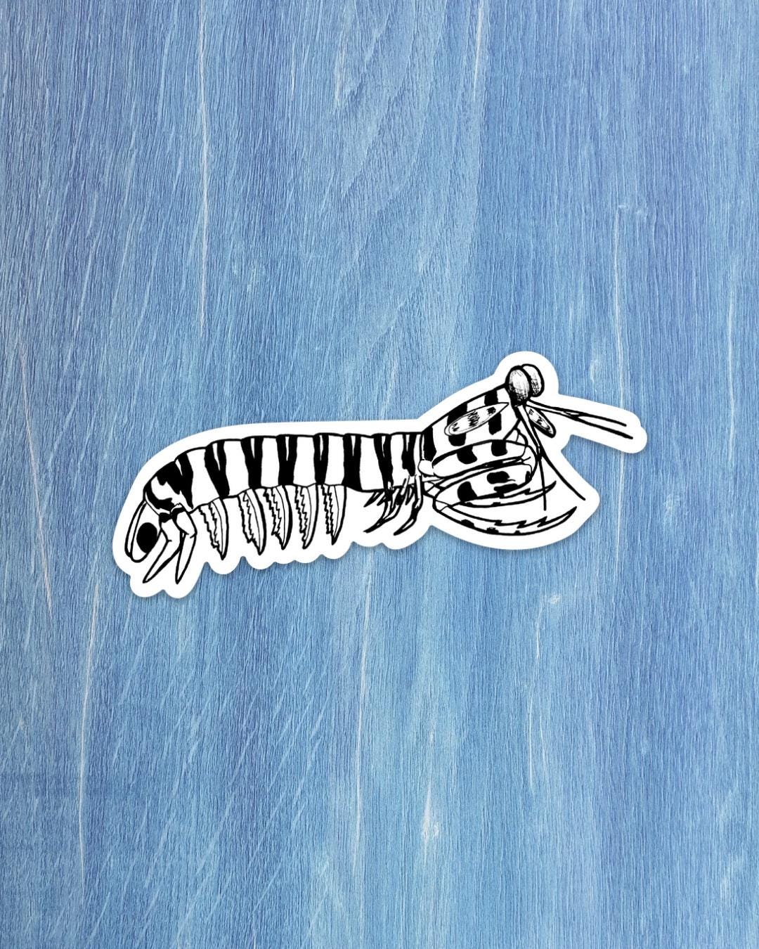 Striped Mantis Shrimp Sticker, Crustacean Sticker, Aquarium Sticker ...