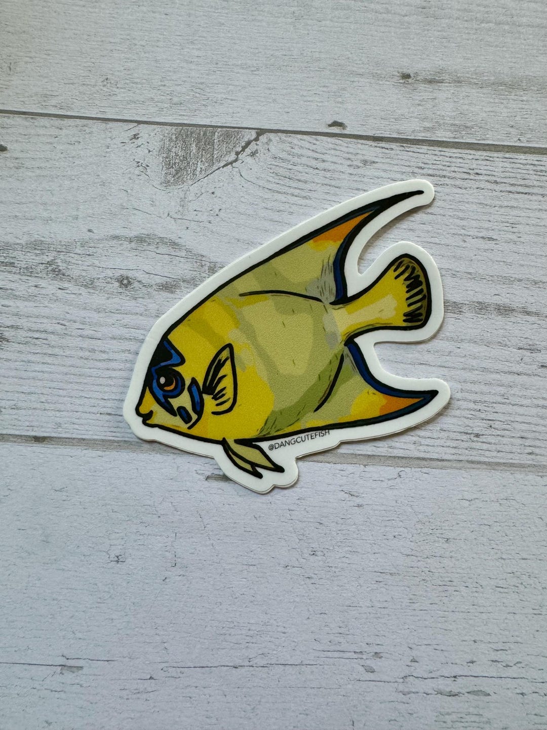 Queen Angelfish Sticker (1) - Queen Angelfish Gift, Aquarist Sticker ...