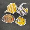 Magnet Set 7 Cephalopods, Flamboyant Cuttlefish, Pajama Squid, Nautilus ...