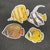 Magnet Set 7 Cephalopods, Flamboyant Cuttlefish, Pajama Squid, Nautilus ...