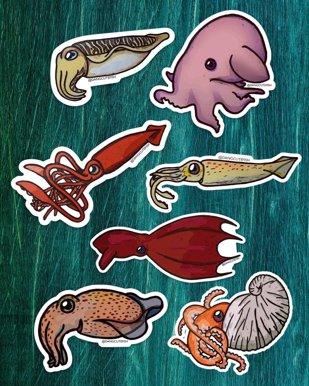 Magnet Set - 7 More Cephalopods! Vampire Squid, Dumbo Octopus, Firefly ...
