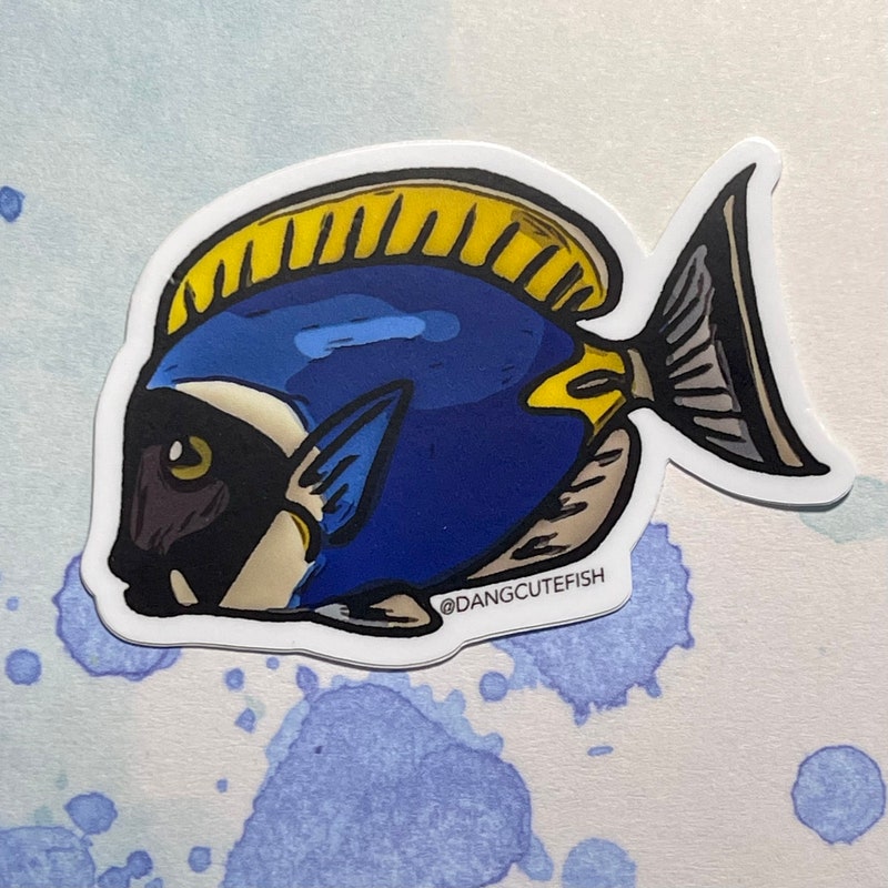 Powder Blue Tang - Etsy