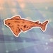 Angel Shark Sticker - Elasmobranch, Shark Gift, Dang Cute Fish - Etsy