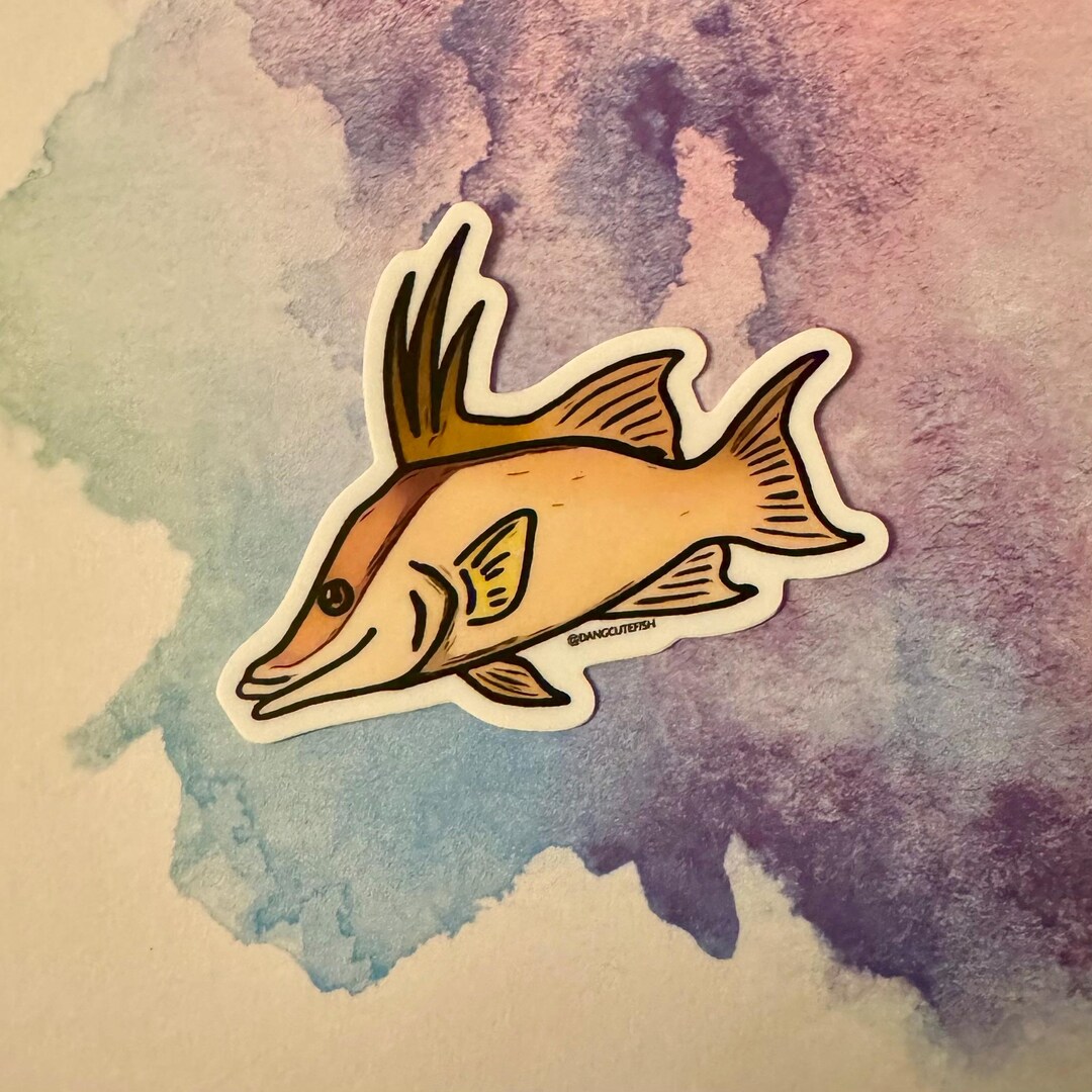 Rooster Hogfish Sticker, Fish Sticker, Gift, Aquarist - Etsy