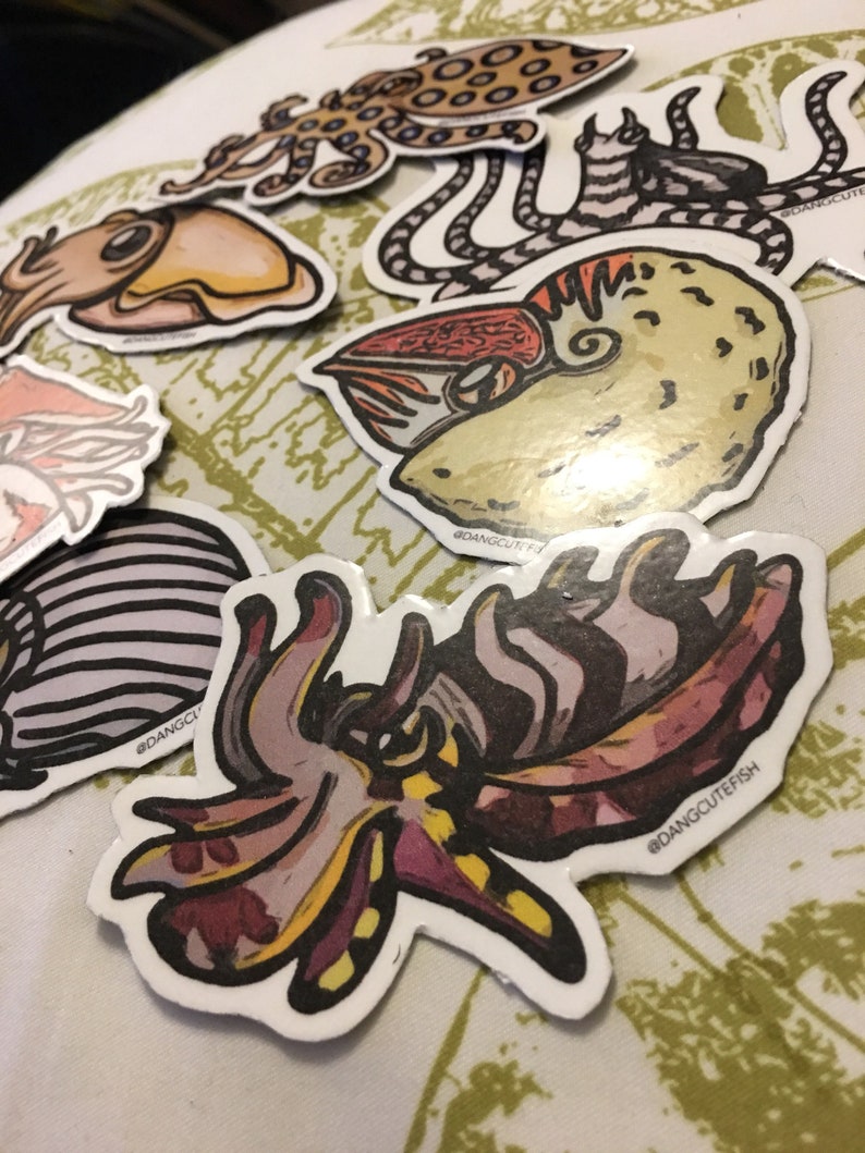Magnet Set - 7 Cephalopods, Flamboyant Cuttlefish, Pajama Squid ...