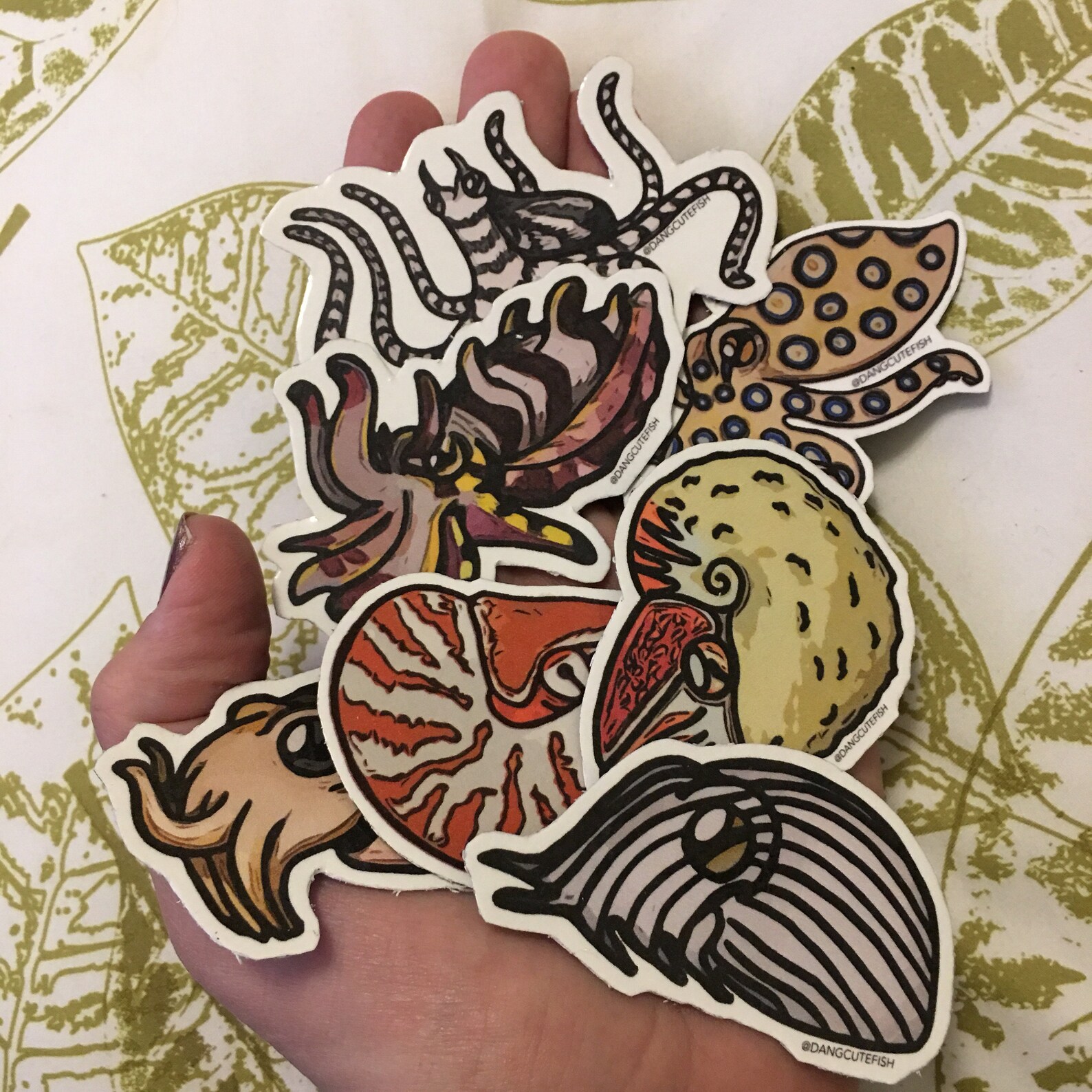 Magnet Set - 7 Cephalopods, Flamboyant Cuttlefish, Pajama Squid ...