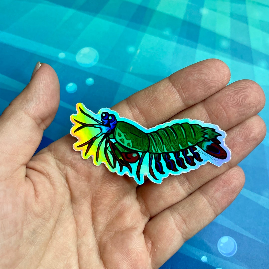 Holographic Vinyl Sticker Mantis Shrimp Sticker, Holo Sticker, Peacock ...