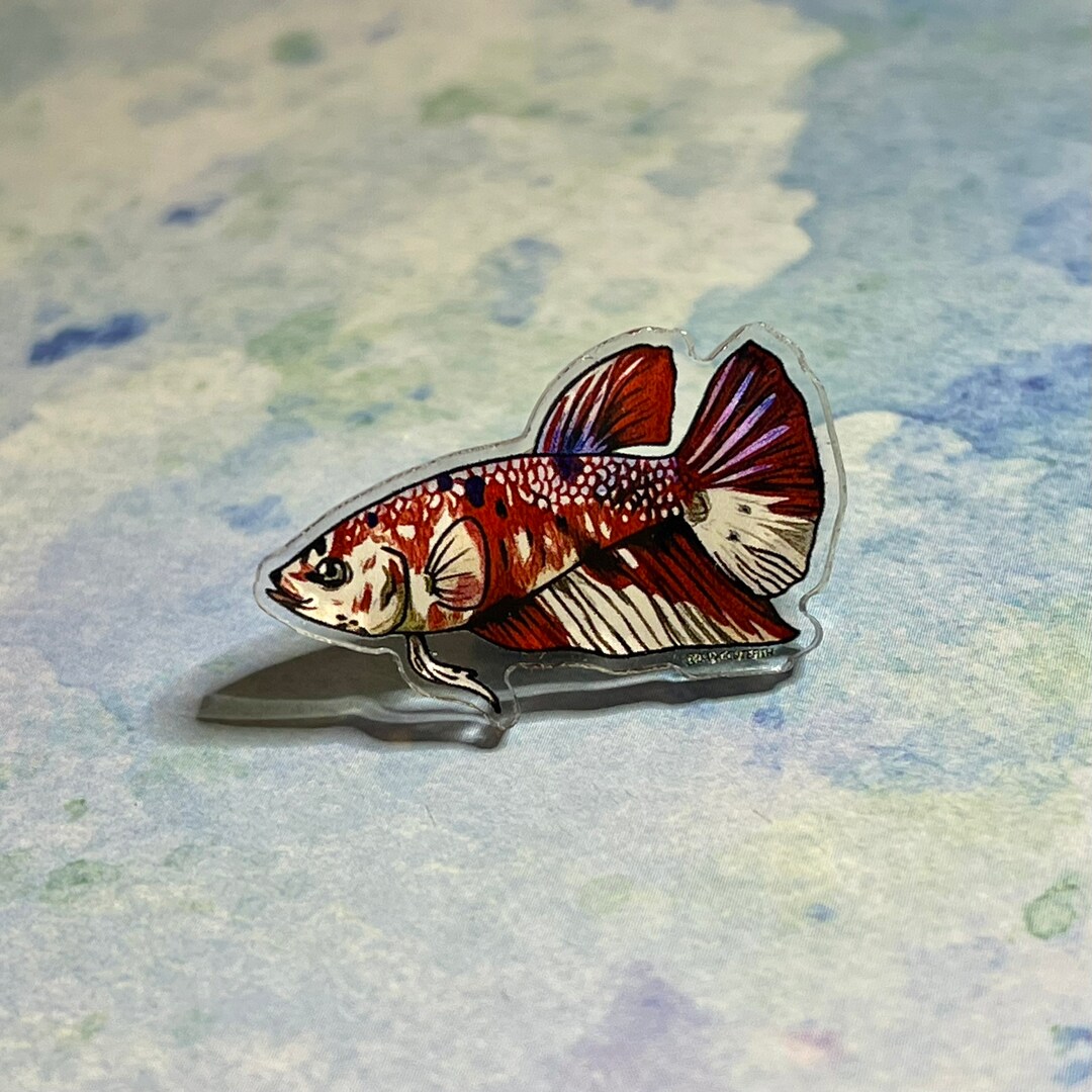 Betta Fish Pin - Betta Pin, Aquarist Gift, Betta Gift, Aquarist Pin ...