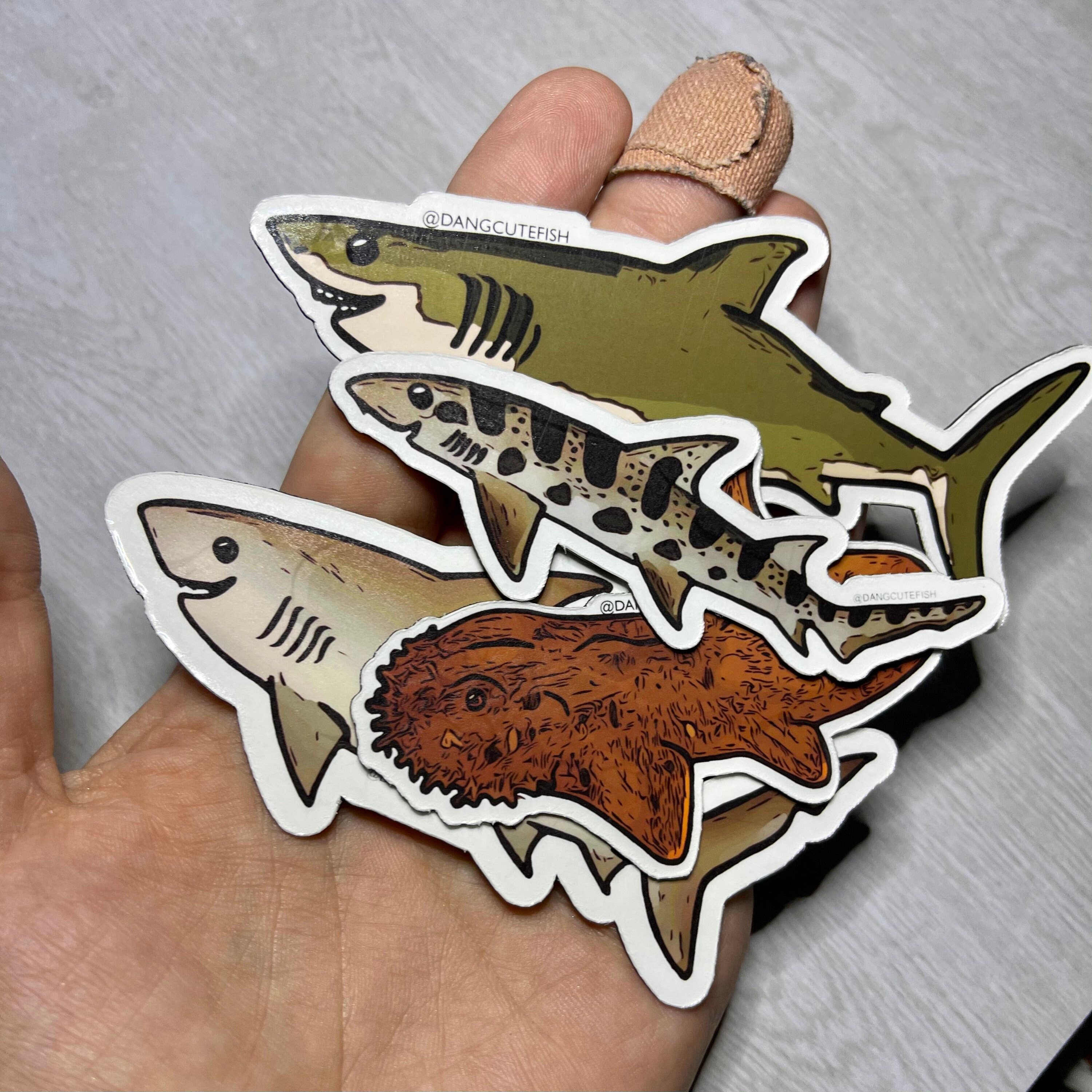 Magnet Set Big Sharks Set 4 White Shark Leopard Shark - Etsy