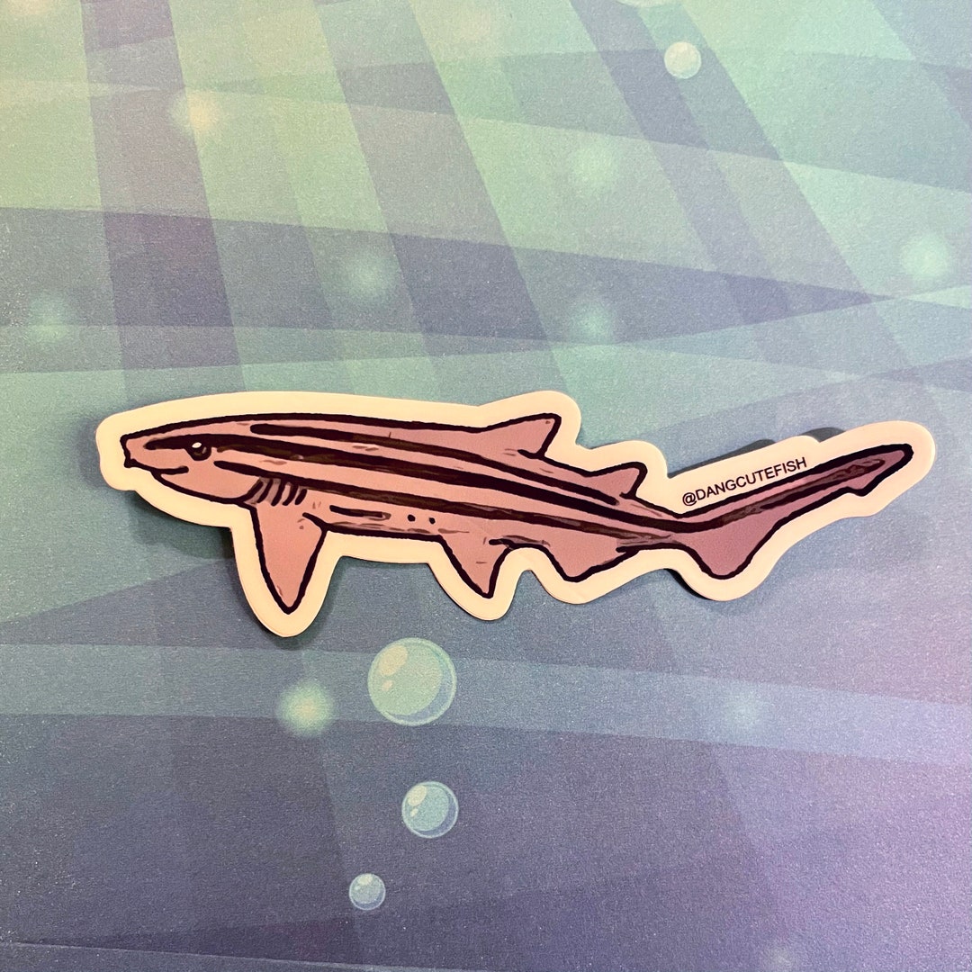 Pyjama Shark Sticker - Elasmobranch, Shark Gift, Dang Cute Fish, - Etsy
