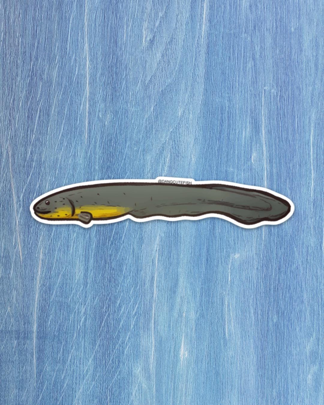Matte Coated Vinyl Stickers (1) - Electric Eel Sticker, Electric Eel ...