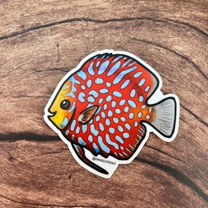 Discus Sticker, Cichlid, Fish Sticker, Freshwater, Planted Aquarium ...