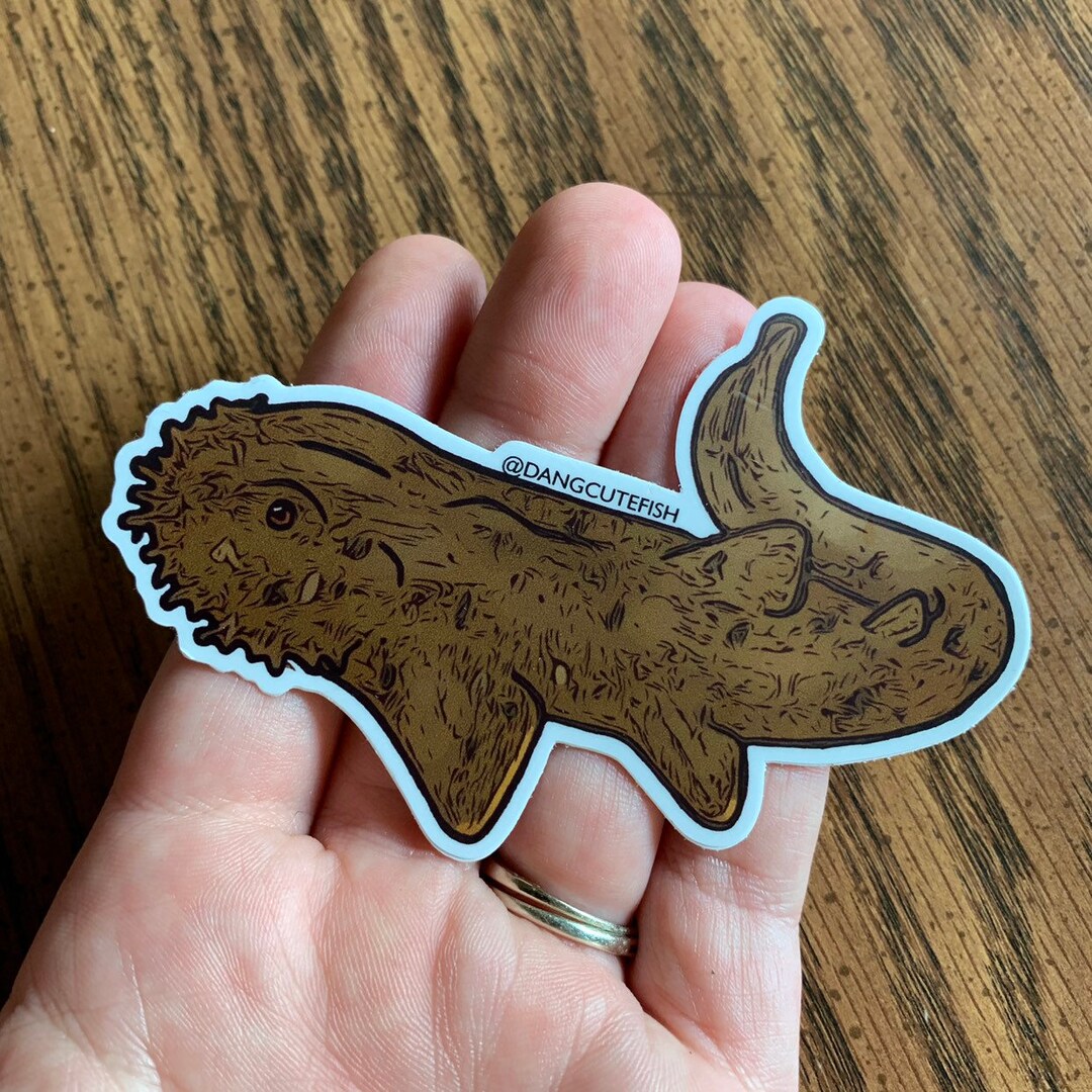 Matte Coated Vinyl Sticker - Tasselled Wobbegong Sticker - Etsy