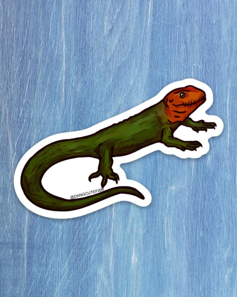 Caiman Lizard Sticker, Gift, Aquarist, Herpetologist, Turtle, Reptile ...