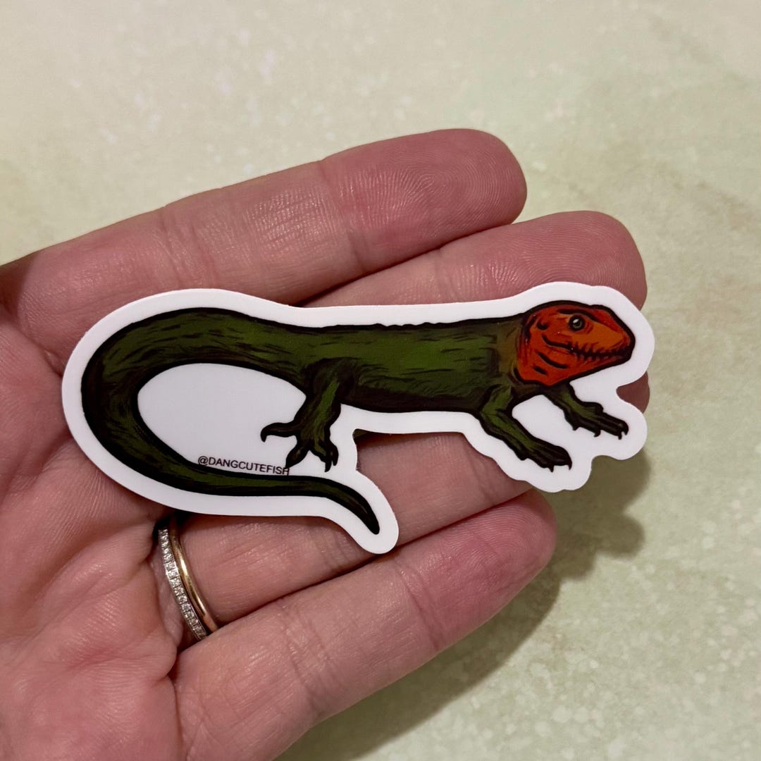 Caiman Lizard Sticker, Gift, Aquarist, Herpetologist, Turtle, Reptile ...